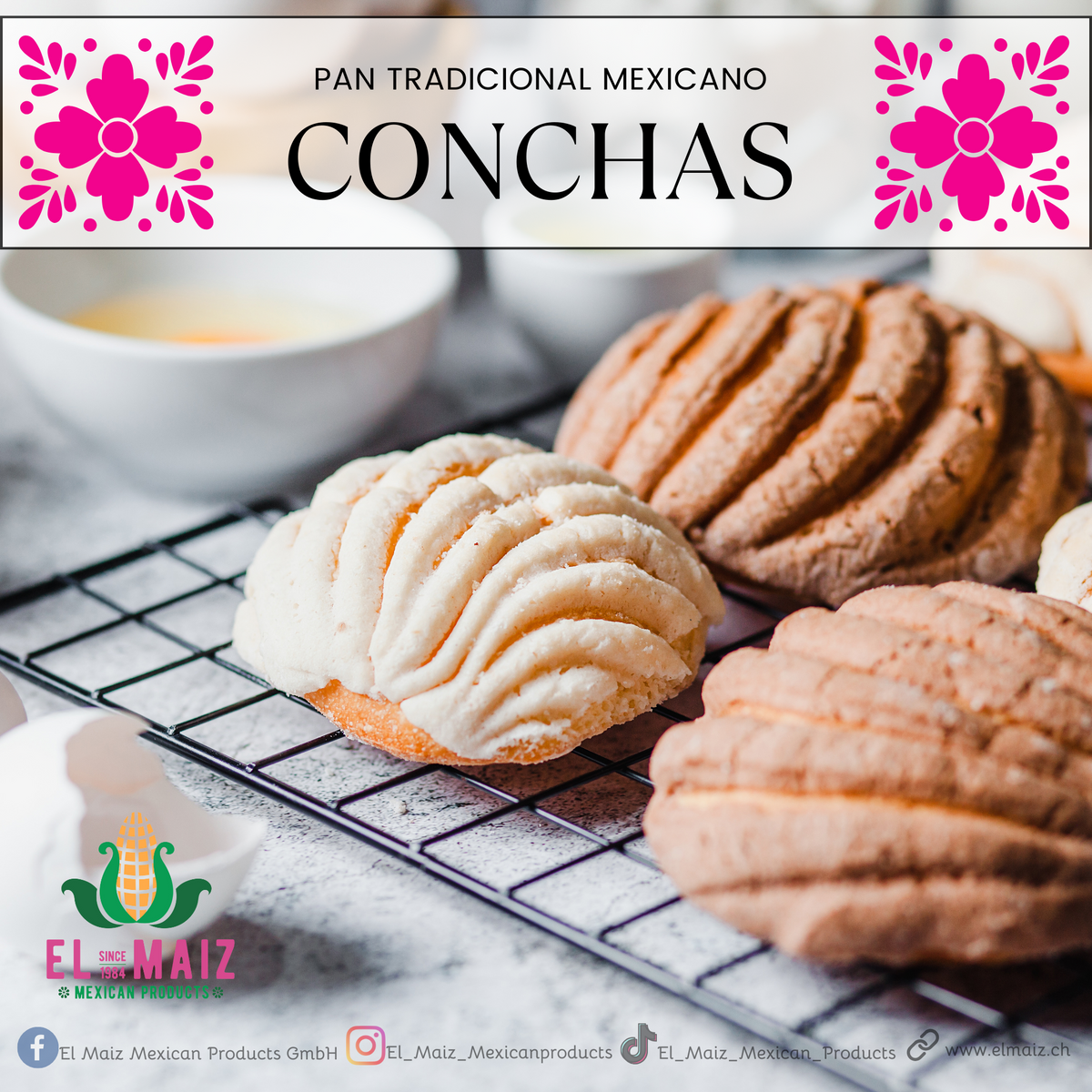 Pan Tradicional Mexicano: Conchas Blancas y de Chocolate – El Maíz ...